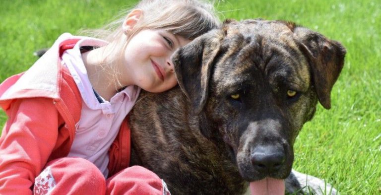 How to Foster Positive Interactions Between Kids and Dogs